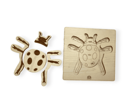 Ladybug Anatomy Puzzle – Educational Tool | Play & Learn CY