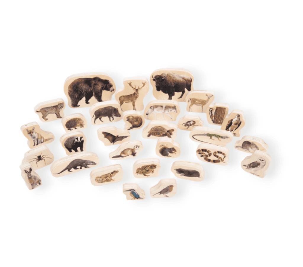 Forest Animals Wooden Blocks | Play & Learn CY