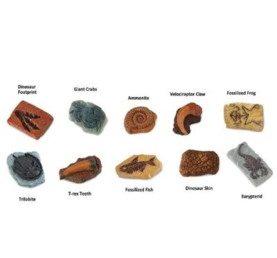 Ancient Fossils miniatures – Play and Learn Cyprus