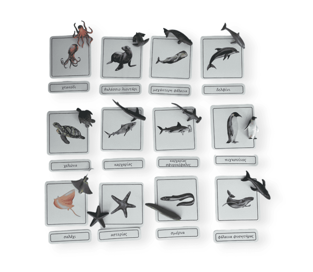 Ocean Animals - Montessori 3-Part Cards | Play & Learn CY